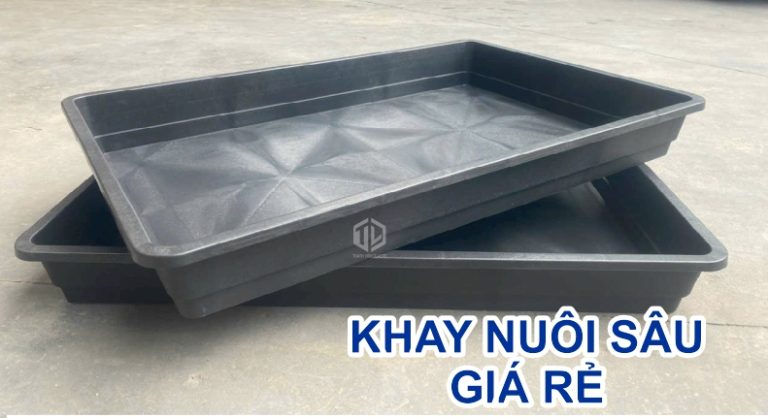 Khay Nuôi Sâu - Khay Nhựa Nuôi Sâu Canxi, Sâu Rồng, Sâu Gạo, Sâu Thái